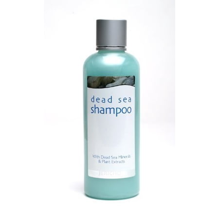 Jericho Dead Sea Minerals Shampoo-Oily Hair-10.1 oz | Walmart Canada
