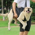 Dog Support Sling for Rehabilitation and Mobility Assistance Pet Care ...