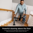 Shark AZ3002 Upright Vacuum with TruePet, Allergy & Lift-Away ...