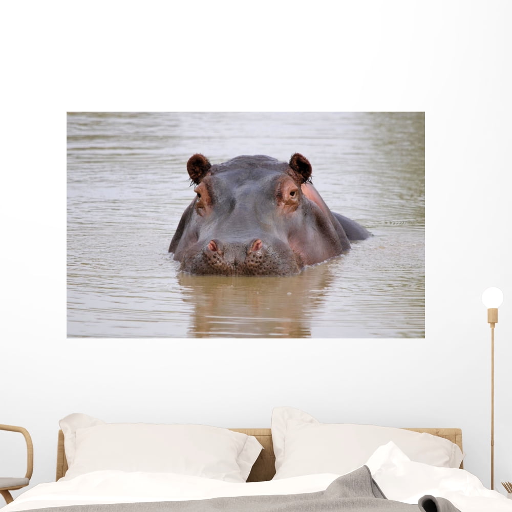 Hippo Wall Mural Decal Sticker, Wallmonkeys Peel & Stick Vinyl Graphic ...