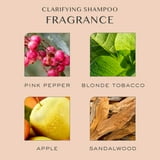 Kristin Ess Deep Clean Clarifying Shampoo for Buildup, Oil, and Dirt ...