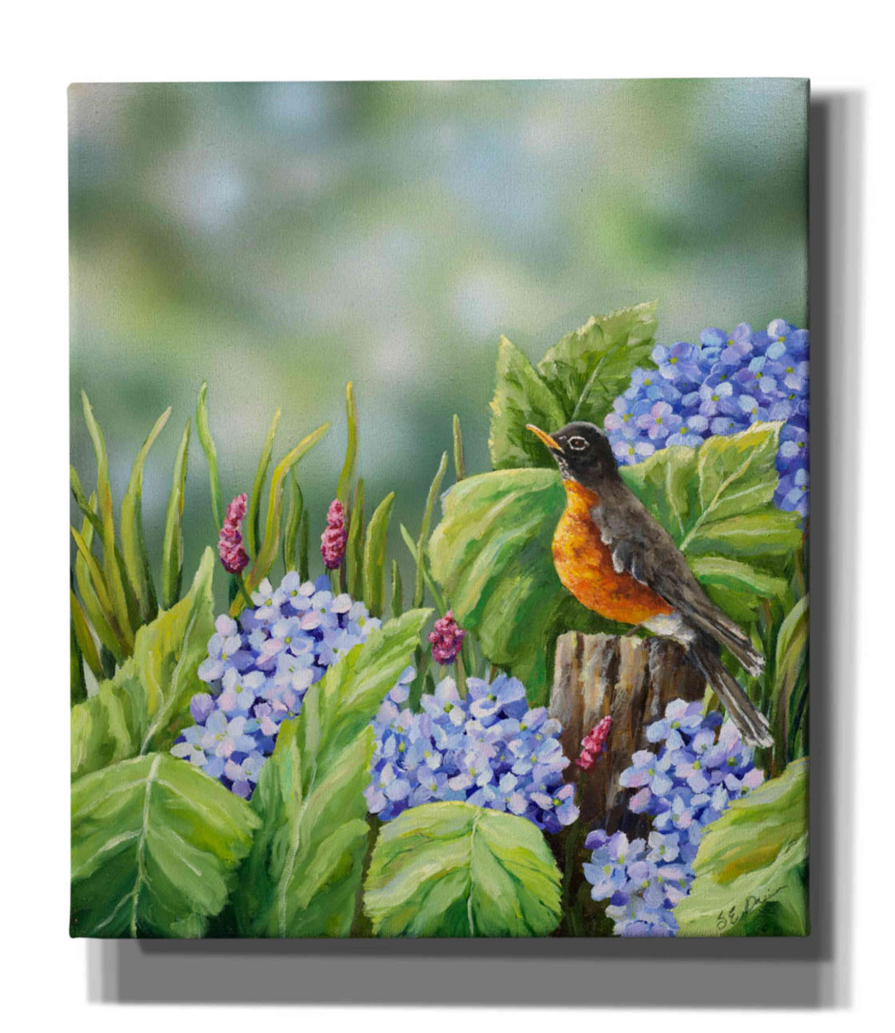 Epic Graffiti 'Robin With Hydrangeas' by Sarah Davis, Canvas Wall Art ...