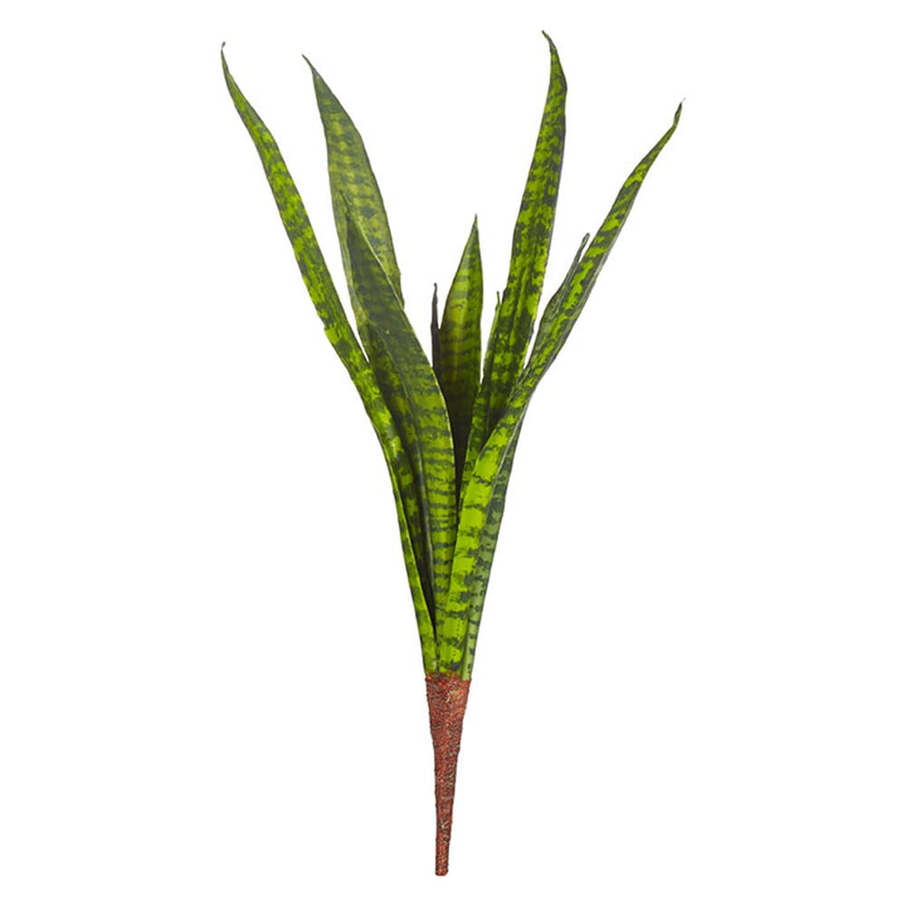 Raz Imports Hacienda 23" Snake Plant Stem - Walmart.com
