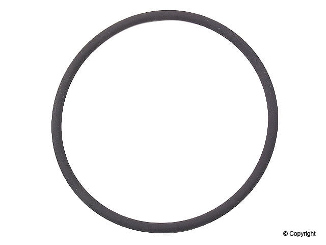 Filter O Ring - Walmart.com