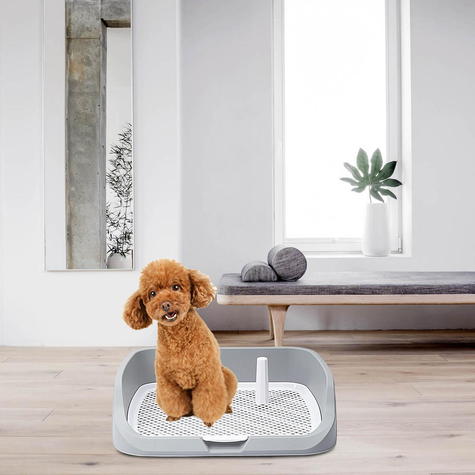 Pet Dog Toilet, Dog Potty Tray Puppy Pee Pad Anti Splashing Easy to ...