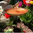 Bird and Butterfly Oasis Pollinator Bird Bath - Walmart.com