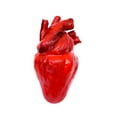 Life Size Red Human Heart Scary Haunted House Prop Halloween Horror ...