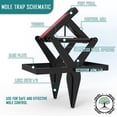 Mole Traps, Black Galvanized Steel Scissor Trap, Reusable Gopher Traps ...
