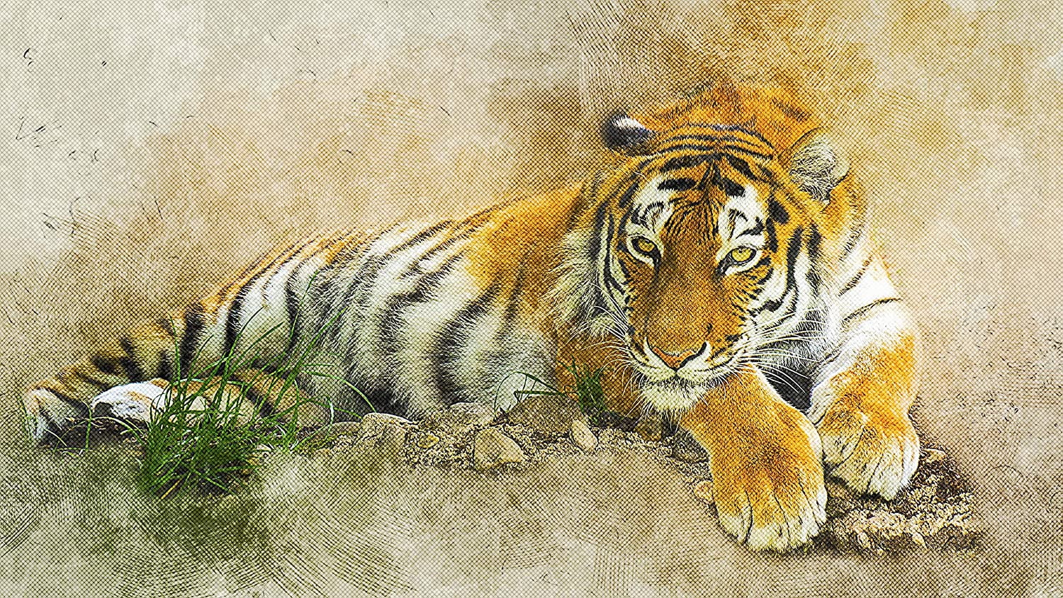 Tiger III - CANVAS OR PRINT WALL ART+ - Walmart.com