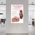 Fundal Height Measurement Poster Clinic OB GYN Wall Art(1) Canvas for ...