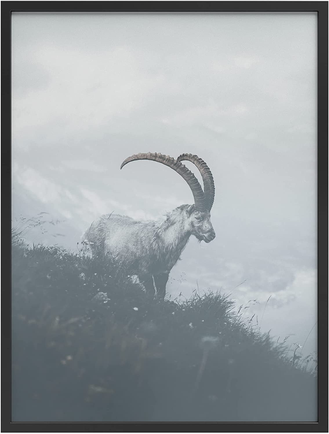 PixonSign Framed Wall Art Print Long Horned Ram on Mountain Cliff ...