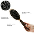 Boar Bristle Hair Brush Anti-static Puddle Comb Nylon Massage Hair Care ...