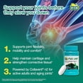 D-Cal Flex Joint Support Supplement with Collavant® n2 Type II Collagen ...