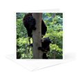 3drose, Two Bears in Tree Playing, 6 Greeting Cards with Envelopes ...