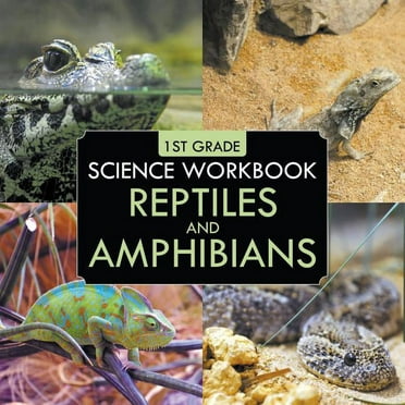 Animal Groups (Mammals, Reptiles, Amphibians & More): Jumbo Science ...