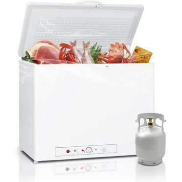 BougeRV 48QT Dual Zone Car Refrigerator, 12V/24V Portable Freezer with ...