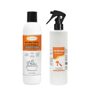 Nok-Out Odor Remover and Disinfectant, Pet Deodorizer and Cleaning ...