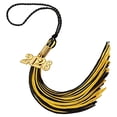 Class Of 2026 Graduation Tassel with Year Charm Decor Accessories for ...