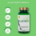 Bioxtron AFA Stem Cell Supplement Chewable Tablets - Supports Joint ...