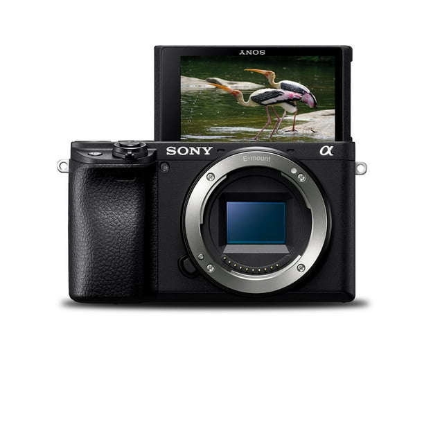 Sony Alpha a6400 Mirrorless Digital Camera (Body Only) - Walmart.ca