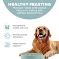 Outward Hound Fun Feeder Slo Bowl – Large 4‑Cup Capacity, Slow Feeding ...