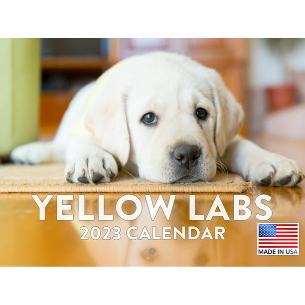 Lab Calendar