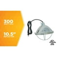 Woods 0165 Brooder Lamp with Bulb Guard,10.5 Inch Reflector and 6 Foot ...