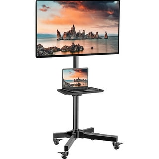 Mount-It! Portable TV Floor Stand, Fits 13-42 inch TVs, Height ...
