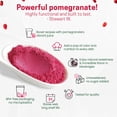 Z Natural Foods Pomegranate Powder - Organic, 1 lb (16 oz) - Pure ...