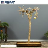 Prevue Pet Products Coffeawood Java Tree Small Floor Playstand Style #2 ...