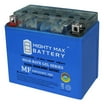 Deka ETX16 AGM Power Sport Battery - Walmart.com