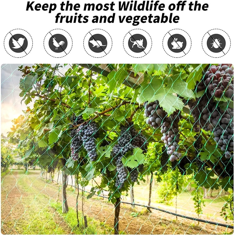 Vineyard Bird Netting