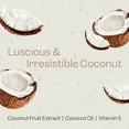 Renpure Coconut Cream & Vitamin E Nourishing Shampoo for All Hair Types ...