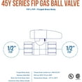 FIP Connections - Y12FIP Premium Gas Ball Valve with Yellow Aluminum ...