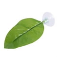 Danlai-4 Pcs Betta Fish Leaf Pad Home Decoration Betta Fish hammock ...