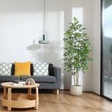 6 ft Faux Moringa Oleifera Tree in Pot, Artificial Horse Radish Tree ...