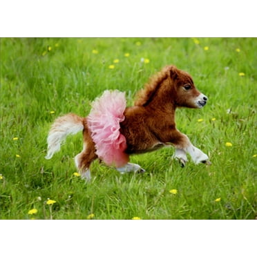 Avanti Press Woman Goosing Husband Funny / Humorous Birthday Card ...