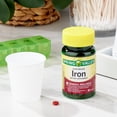 Spring Valley Slow Release Iron General Health & Wellness Dietary ...