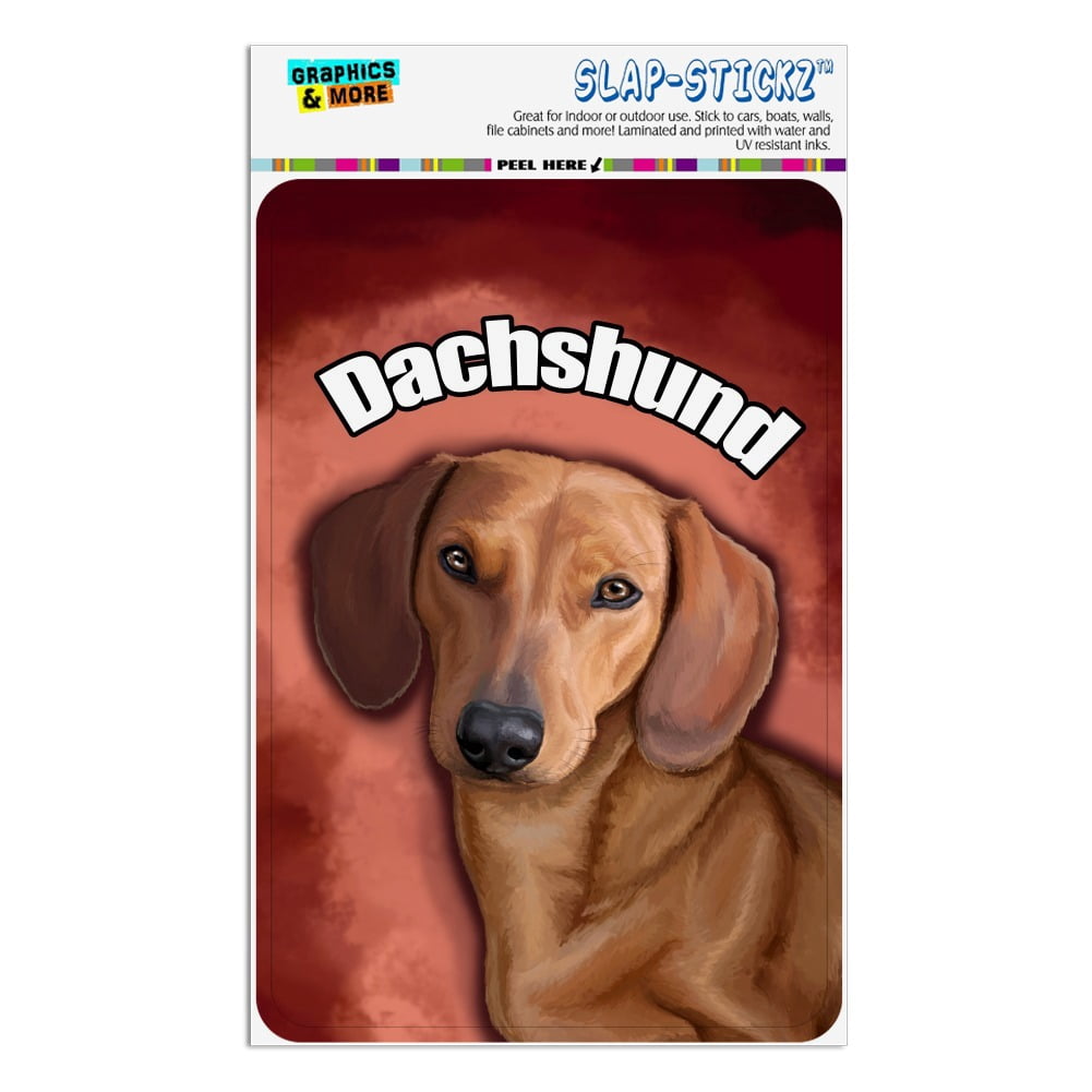 Dachshund Wiener Dog Pet Home Business Office Sign - Walmart.com