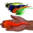 10pcs/Box Fly Fishing Flies Dragontail Fly Combo Set, Assorted Color ...