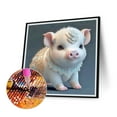 CHAMAIR Zodiac Pig 5D DIY Diamond Art Painting Kit, Rhinestones Canvas ...