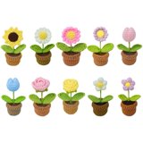 Purple Puff Flower Potted - Mini Yarn Pot - Walmart.com