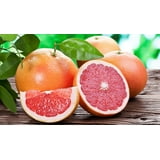 Fresh Produce Fresh Red Grapefruit 5 lb Bag Versatile Sweet Tart ...