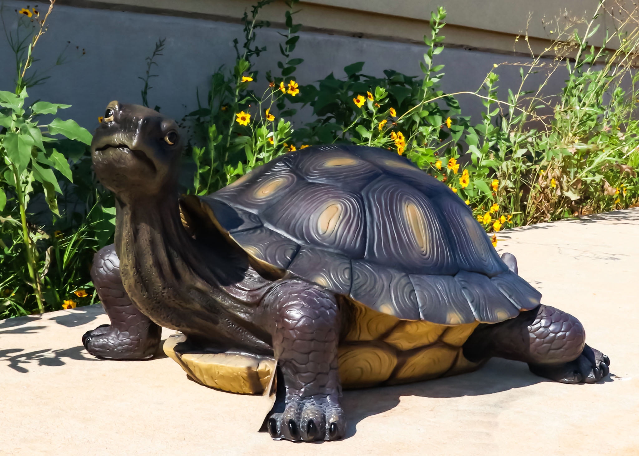 Realistic Lifelike Decorative Galapagos Giant Tortoise Turtle Reptile ...