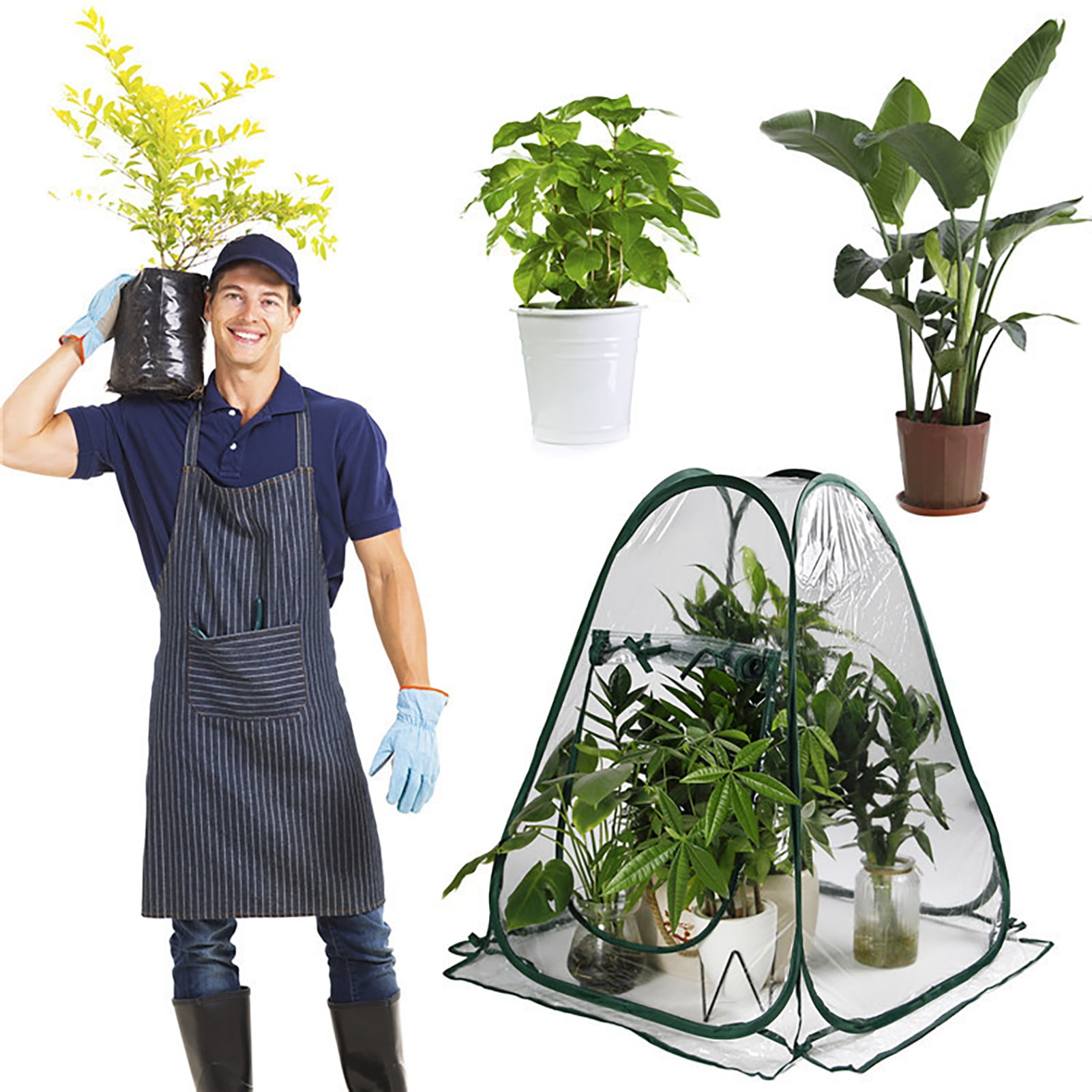 Washranp Foldable Greenhouse Cover,Plastic Transparent Mini Small Grow ...