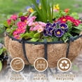 AOOOWER Wall Hanging Basket Iron Flower Pot Plant Hanger Hook Iron ...
