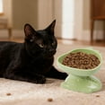 Outoloxit Ergonomic Raised Pet Bowl for Cats and Small Dogs, 350ml ...