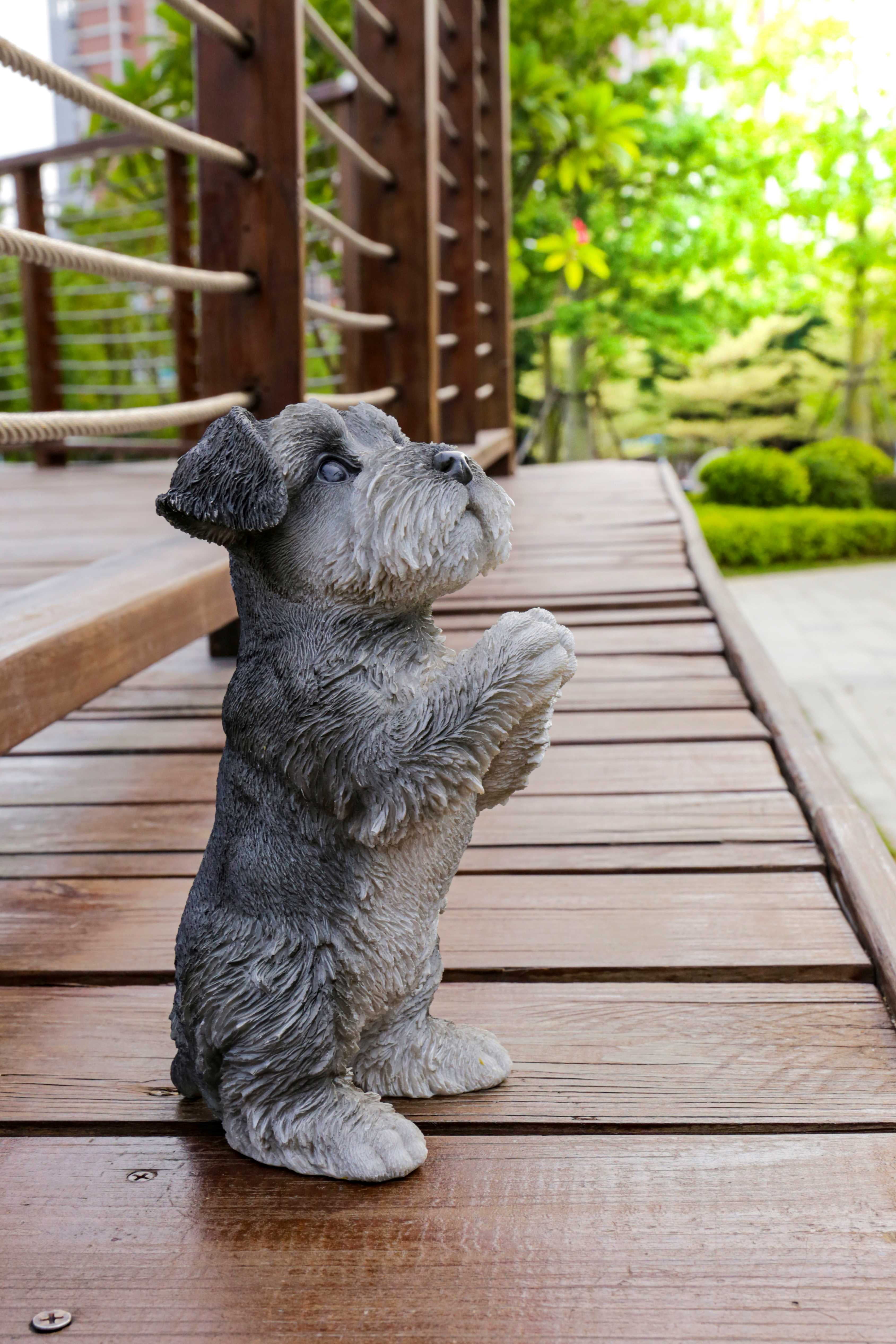 SCHNAUZER PUPPY PRAYING - Walmart.com