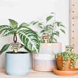 SLYNSHome 15 Pack Wooden Plant Labels, 4 Styles Cute Plant Tags Garden ...