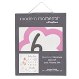 Modern Moments By Gerber Baby Girl Milestone Blanket & Frame Set, 2 ...